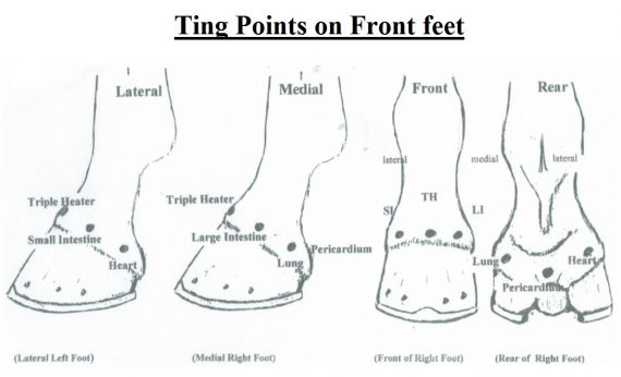 Ting Points - Advanced Photonic Therapy